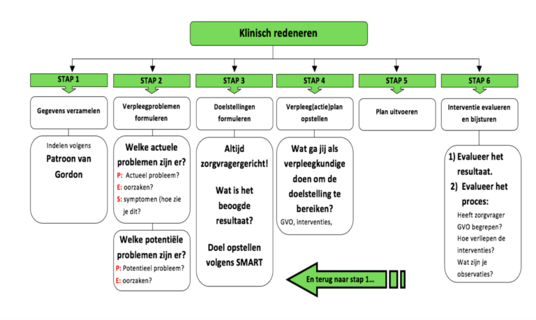 Het Verpleegproces – Klinisch redeneren digitaal